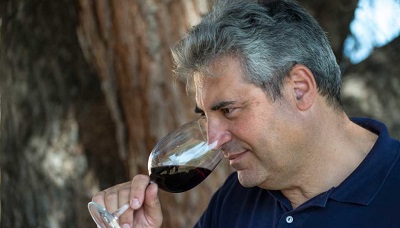 Cerasuolo di Vittoria, la crescita serena: produzione invariata ma più ...