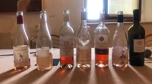 Le sette sfumature di rosa al Camporeale Day: la degustazione con i ...